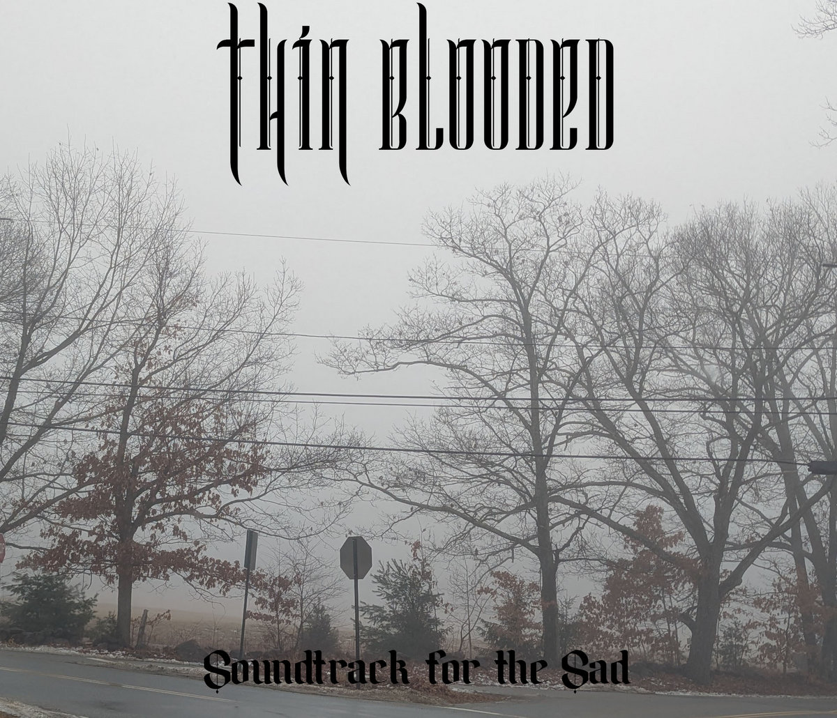 Soundtrack for the Sad (Remastered) | Thin Blooded