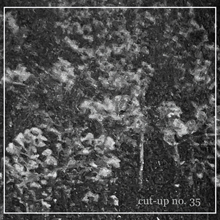 cut-up no. 35 | Troy Schafer