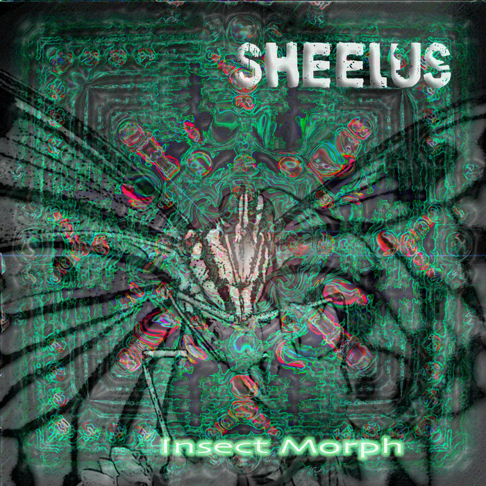 Insect Morph | Sheelus