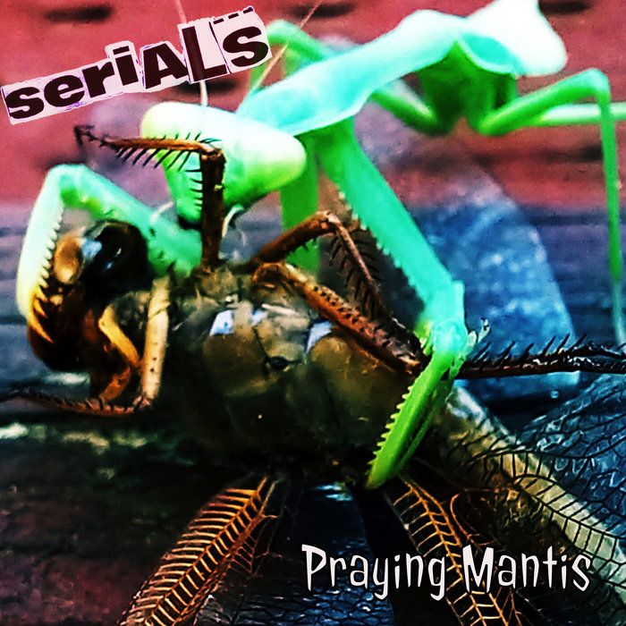Praying Mantis | Serials | Skateboard Naked Productions