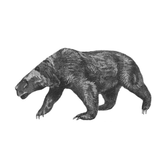Kolponomos | Lord Cernunnos | STR Bandcamp Division
