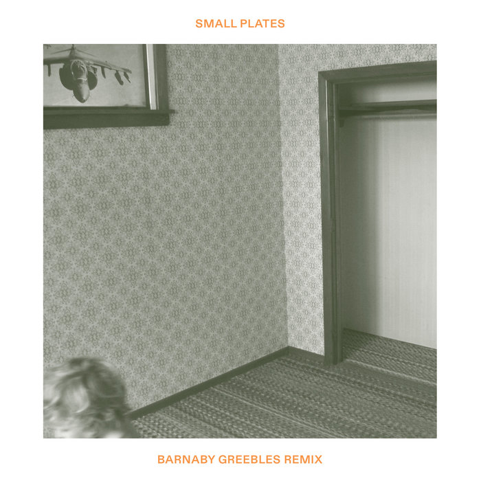 Small Plates/Barnaby Greebles Remix | Swallow the Rat