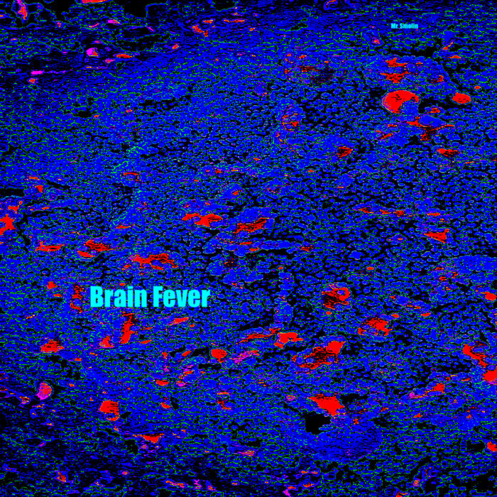Brain Fever | Mr. Smolin