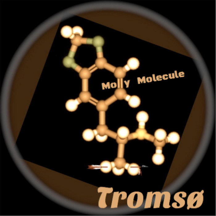 Tromsø | Molly Molecule