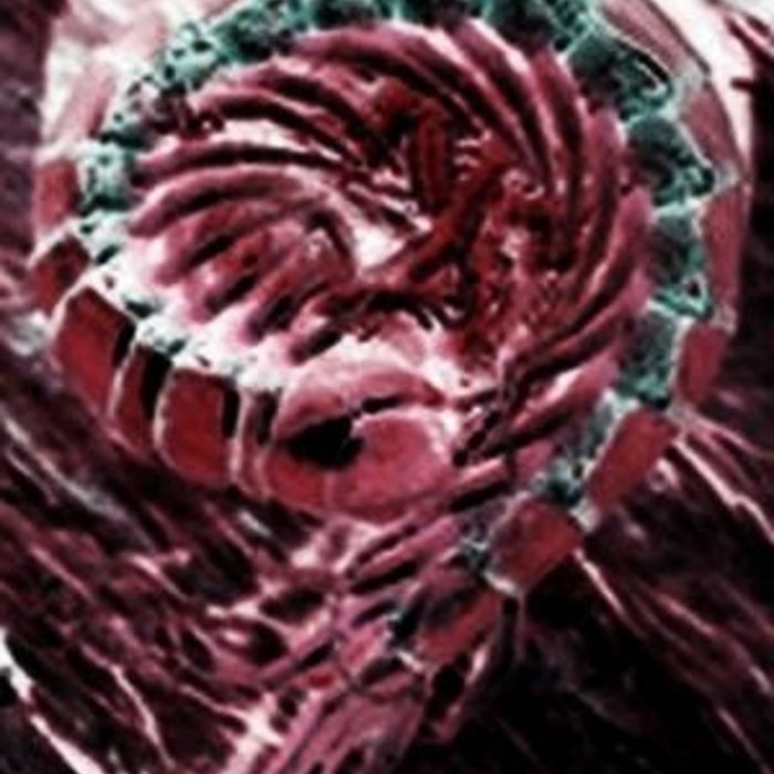 total death (two) | centipede