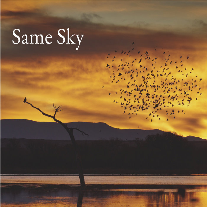 Same Sky | Same Sky | Tom Amend