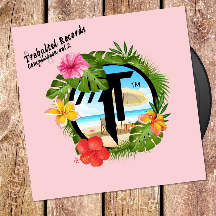 Trebaltek Records Compilation Vol.2 | Zule, Zvidy, Speekrcreep ...