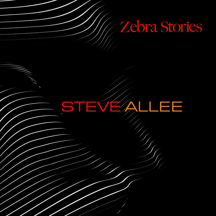 Zebra Stories | Steve Allee