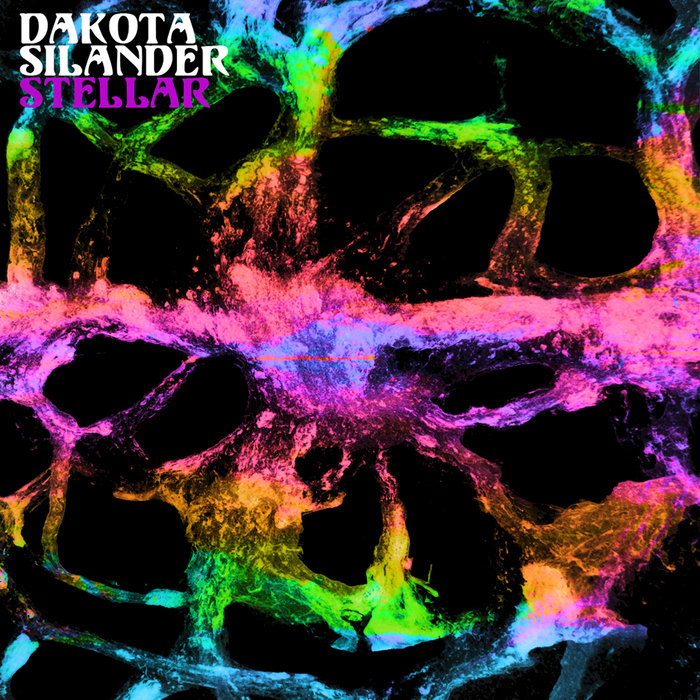 Stellar | Dakota Silander