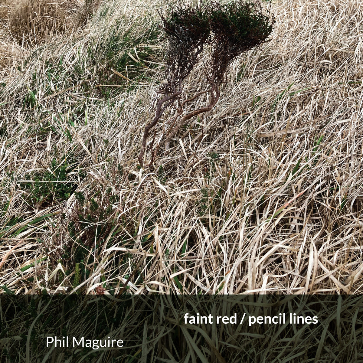 faint red / pencil lines | Phil Maguire