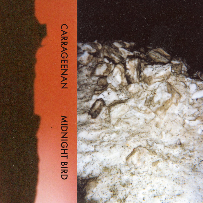 Midnight Bird | Carrageenan