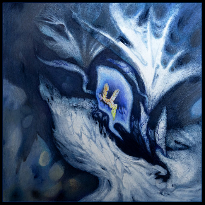 Common Smooth False Blue | Cosmeana