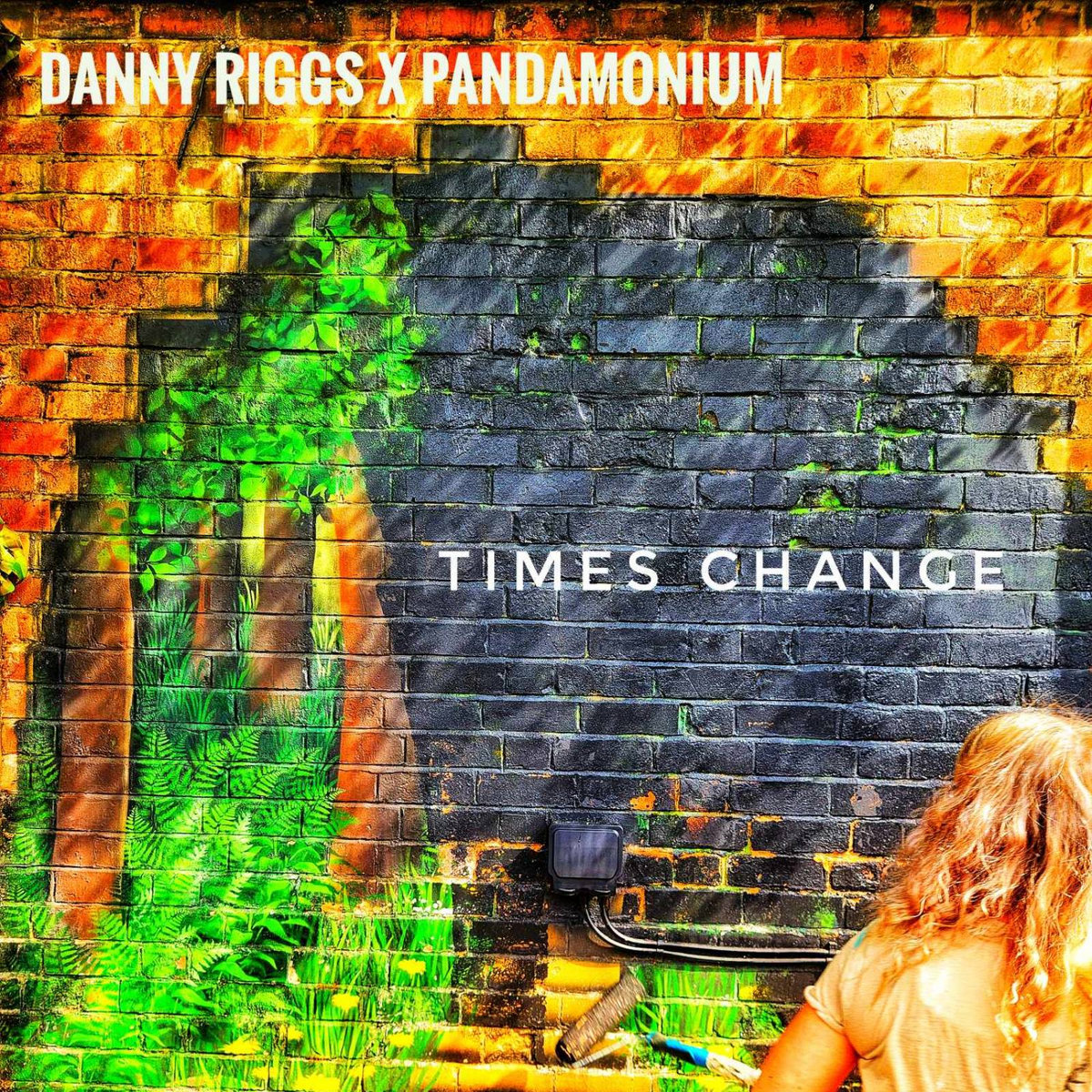 Times Change | Danny Riggs X PANDAMONIUM | Danny Riggs