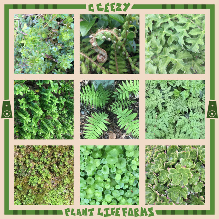 PLANT LIFE FORMS | C GEEZY