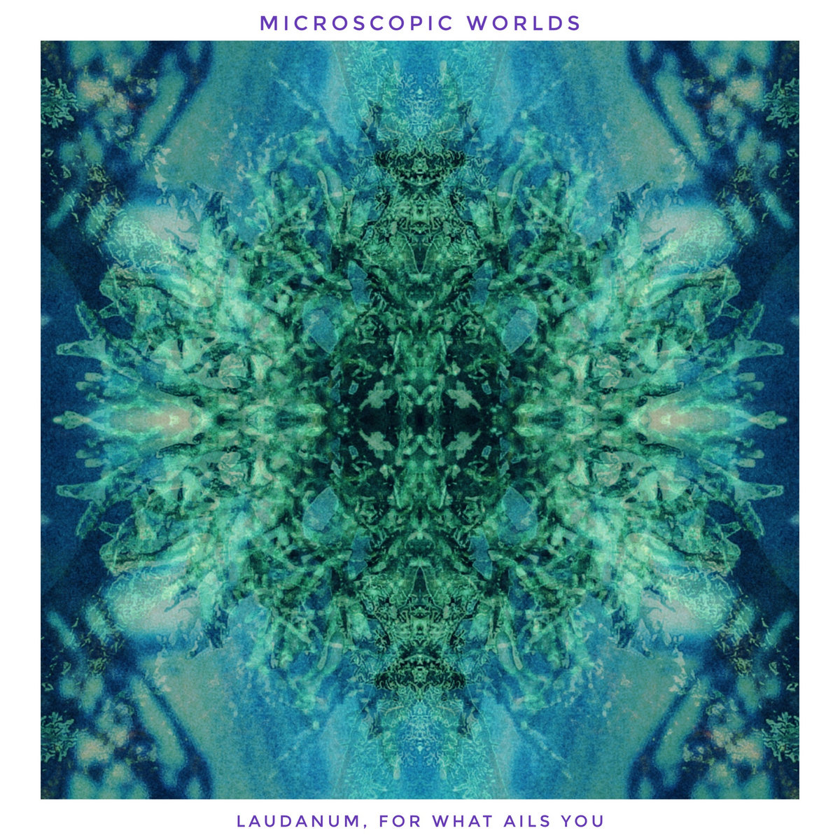 Microscopic Worlds | Laudanum, for what ails you