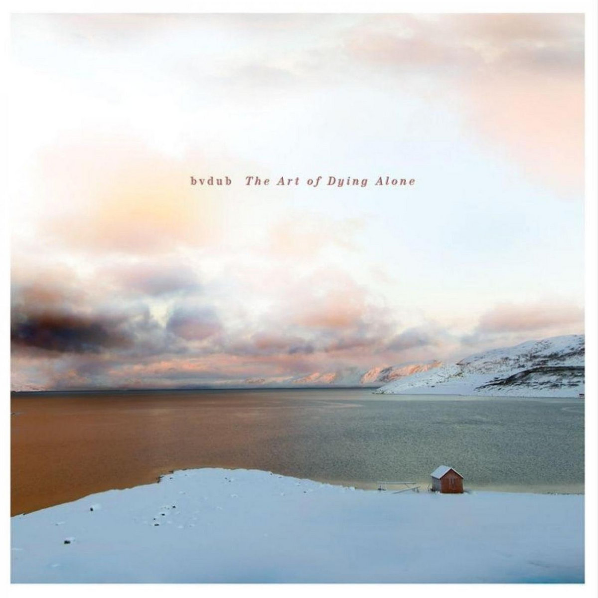 The Art of Dying Alone | bvdub | Brock Van Wey