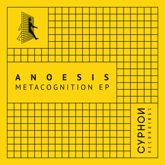 Metacognition | Anoesis