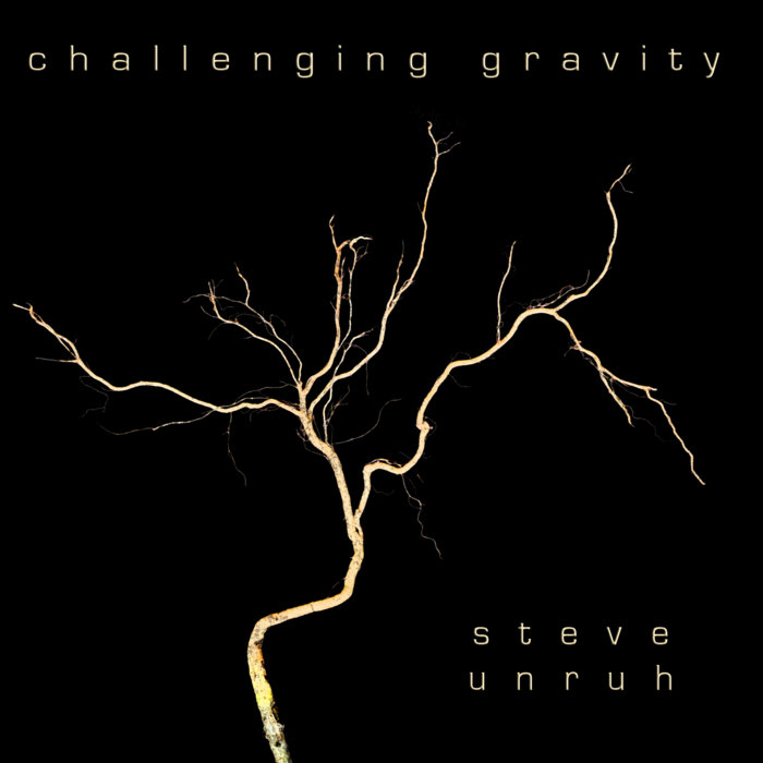 Challenging Gravity | Steve Unruh