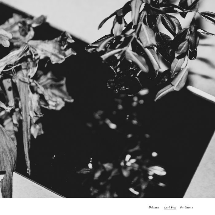 Between The Silence | Lost Few