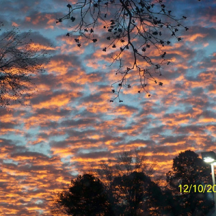 A Crack in the Firmament | Support Group