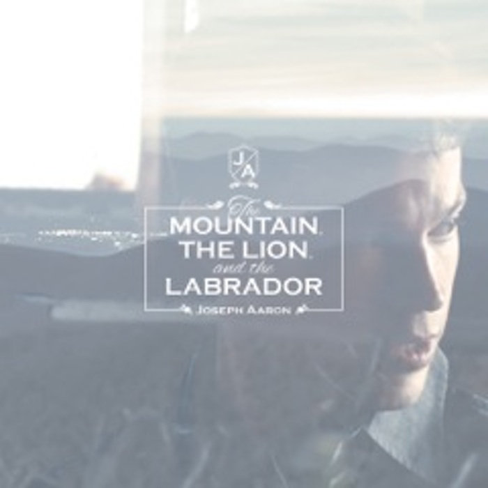 The Mountain, The Lion, & The Labrador | Joseph Aaron