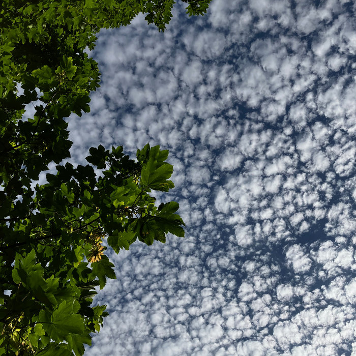 Meaning Waves | Jeff Jepson