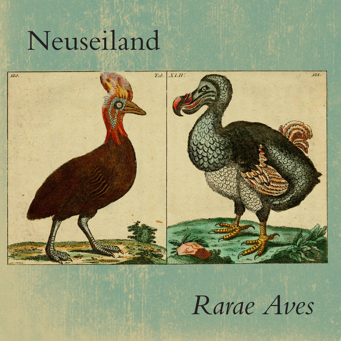 Rarae Aves | Neuseiland