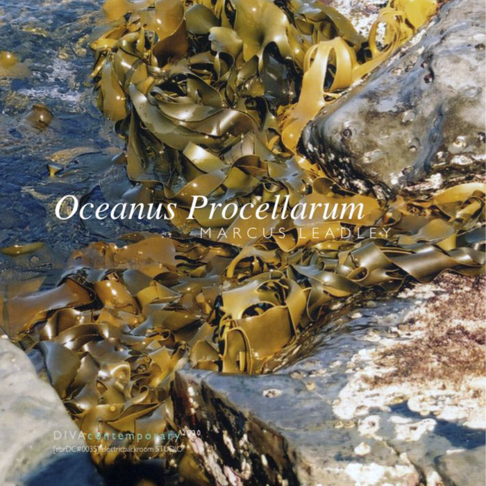 Oceanus Procellarum | Marcus Leadley | DIVAcontemporary