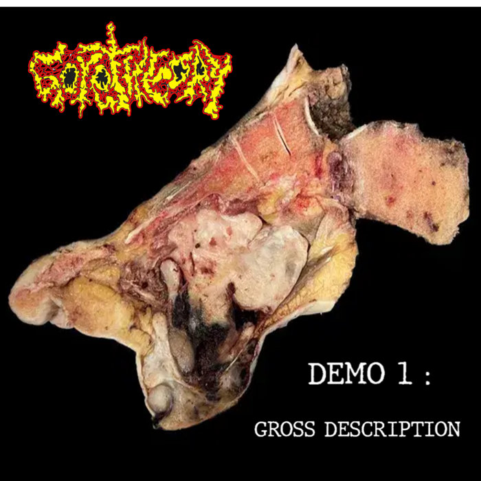 DEMO 1: GROSS DESCRIPTION | Goretheory