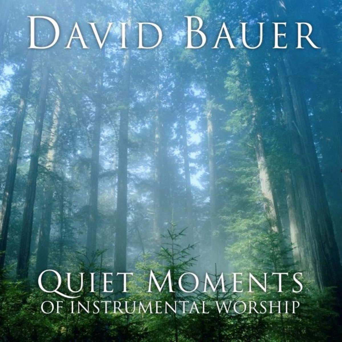Glorify Thy Name | David Bauer