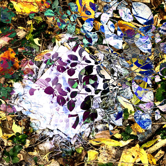 Defiant | Camera Shy x Magical Girl | One & Done