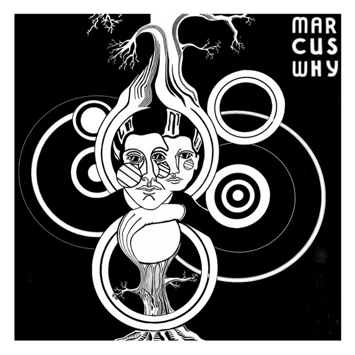 marcus why | marcus why