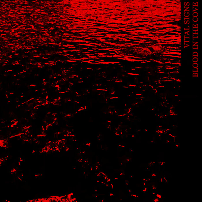 Blood In The Cove (Demo) | Vital Signs