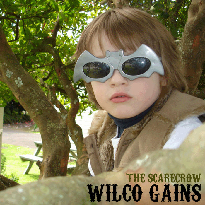 The Scarecrow Single Wilco Gains I Am Evil Records