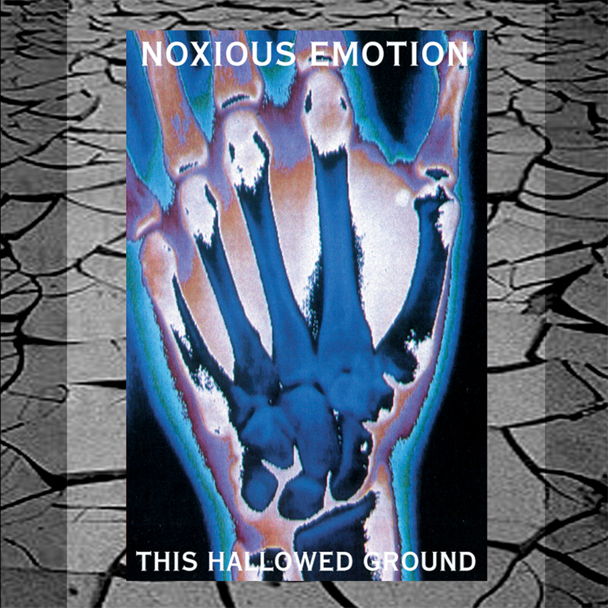 This Hallowed Ground | Noxious Emotion