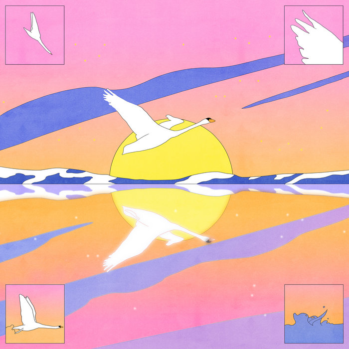 Wing Theory Part I | Tom Jarmey