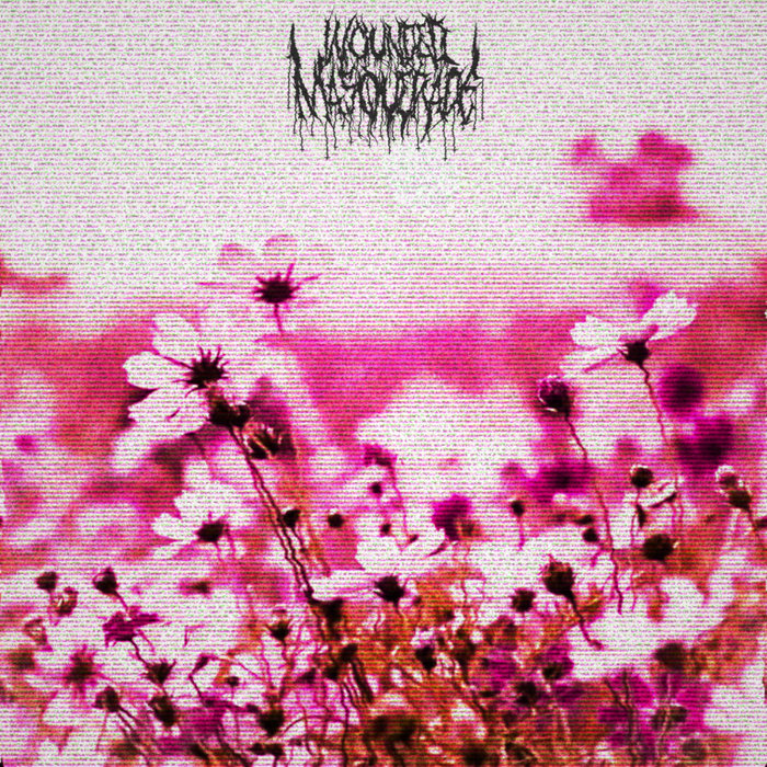 you | Wounded Masquerade