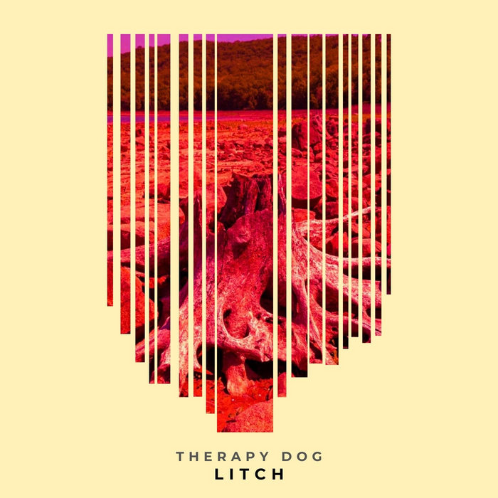 Litch | Therapy Dog