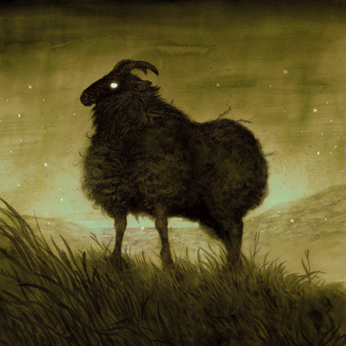 Fallen Sheep | muddasheep