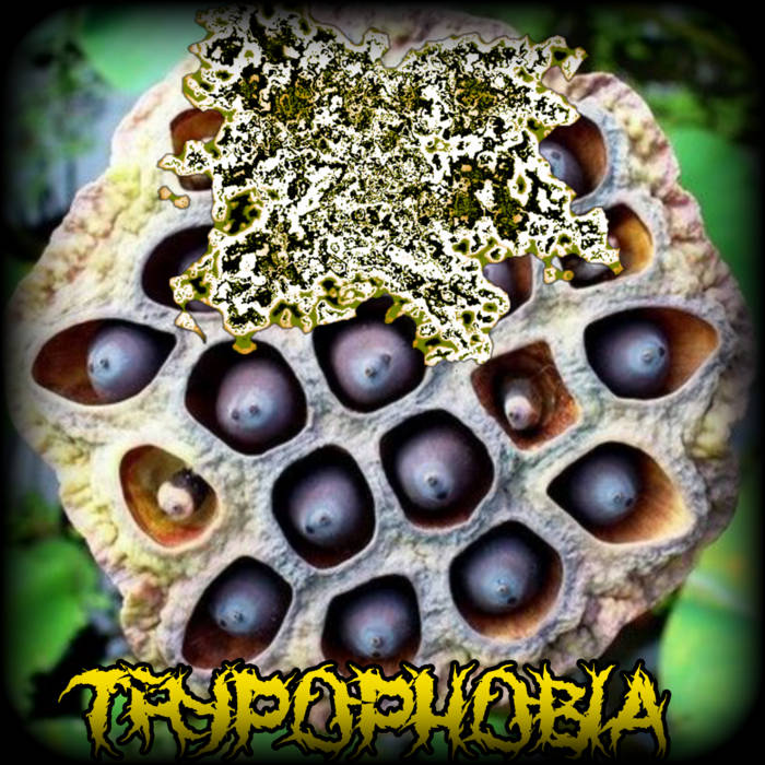 Trypophobia Frog Gif