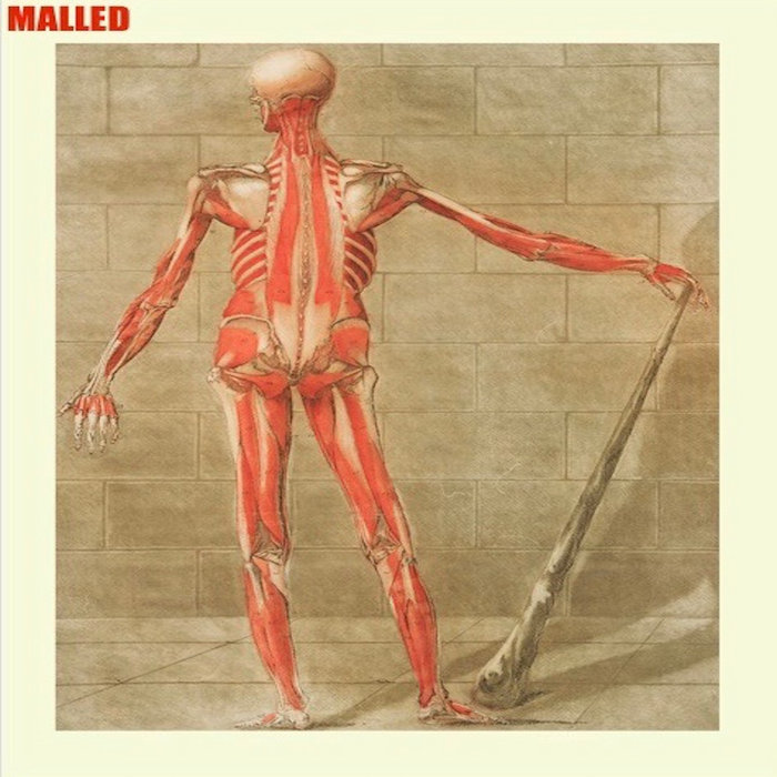 MALLED | Malled