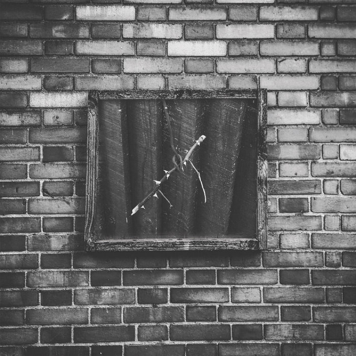 Broken Dialogue | Hexagon Trail