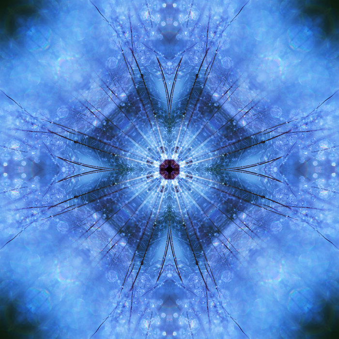 An Ocean Filled With Stars | DTime