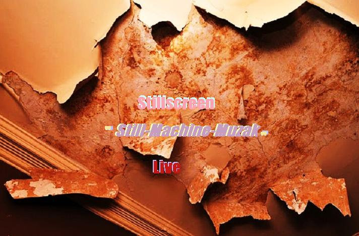 "Still-Machine-Muzak" (Live) | Stillscreen