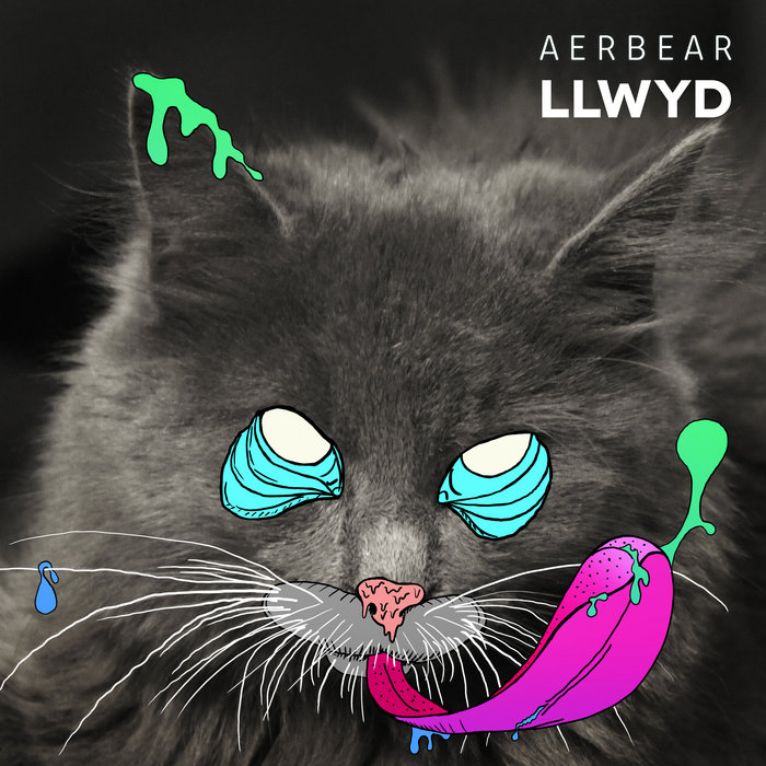 LLWYD | AERBEAR