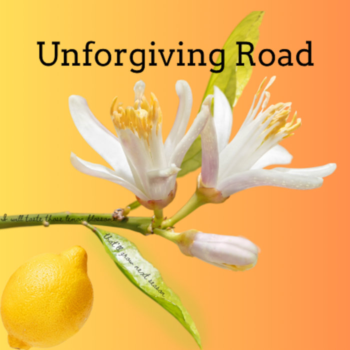 Unforgiving Road | Memory Celle