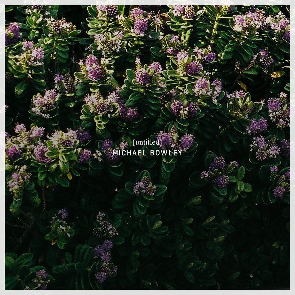 [untitled] | Michael Bowley