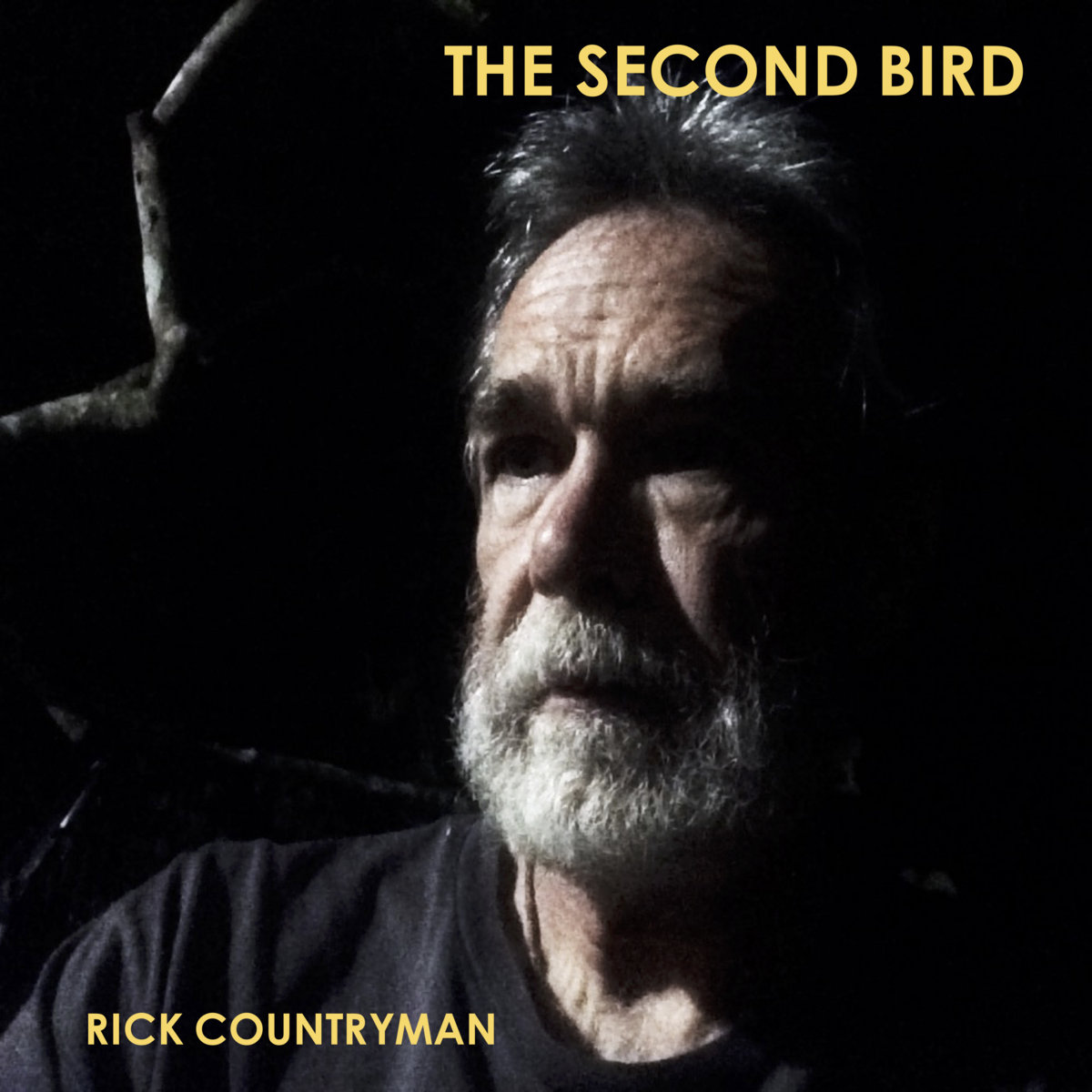 The Second Bird | Rick Countryman