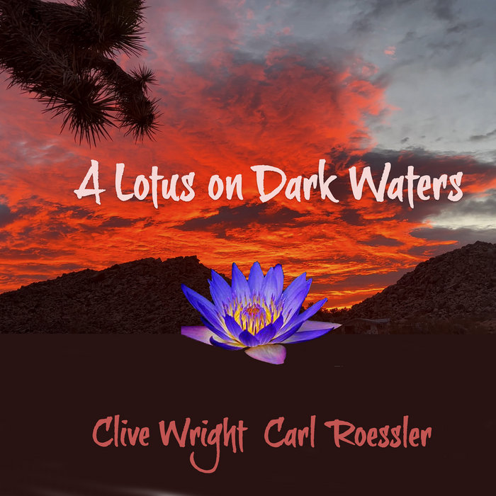 A Lotus on Dark Waters-live Plant Meditation Music | Clive Wright