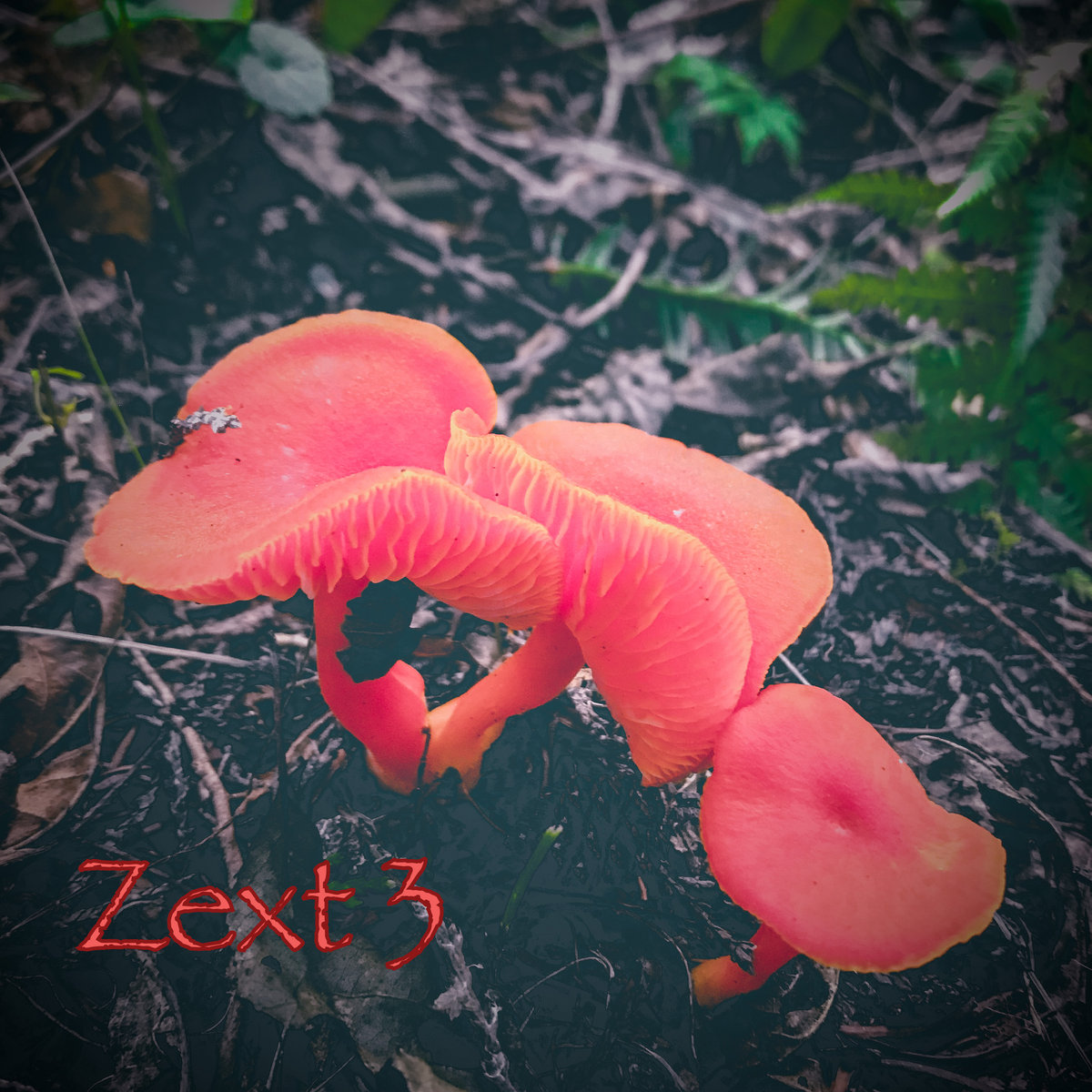 Zext 3 | Zext | takeshi HAYASHI